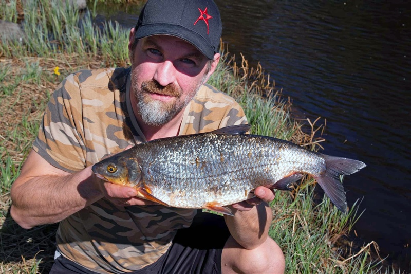Nytt rekord på vimma 2022 fångad 18 maj